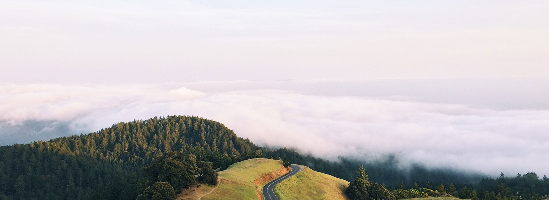 FraudGuard.io | Building a Safer Internet